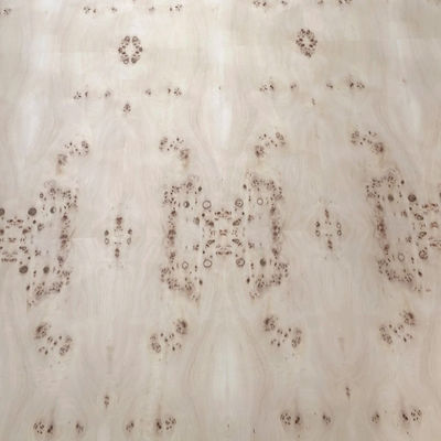 Waterproof Natural Mappa Burl Veneer , Plywood Burl Wood Panels Facings